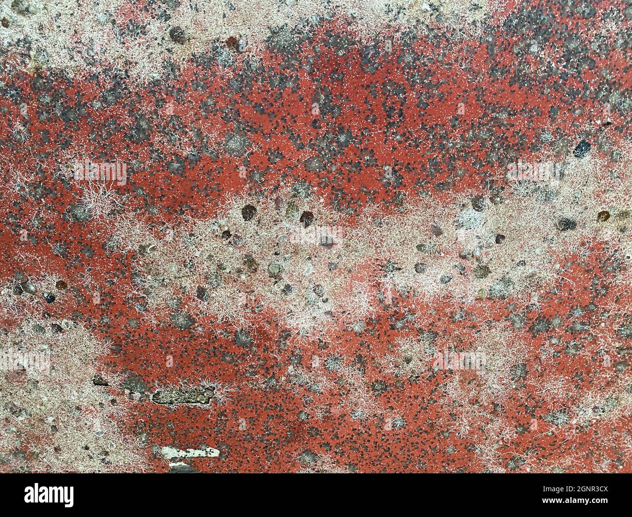 Decay spots hi-res stock photography and images - Alamy