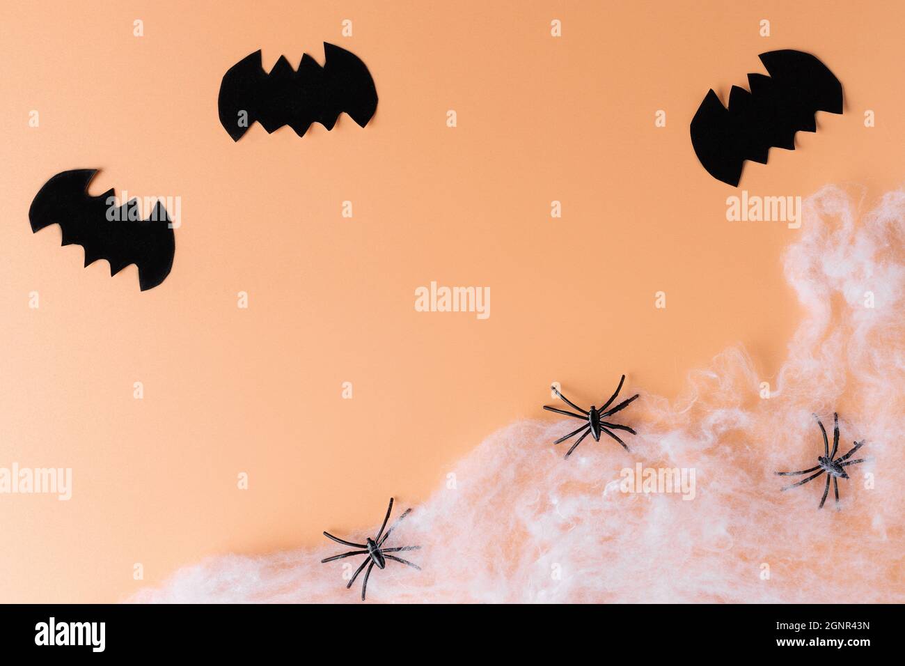 Creative scary composition with paper bats, spiders and spider web ...