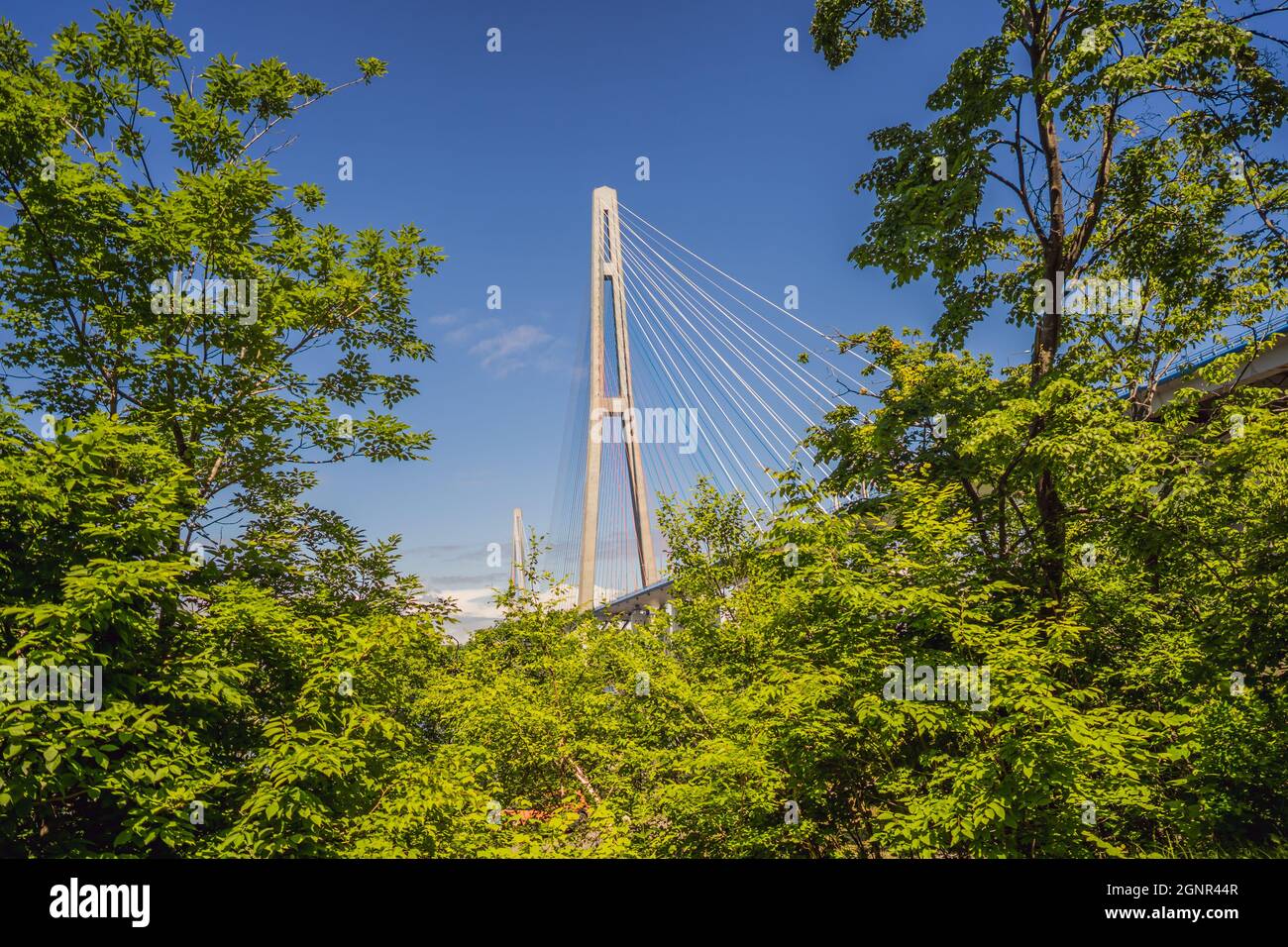 Cable-stayed bridge to Russian Island. Vladivostok. Russia. Vladivostok ...