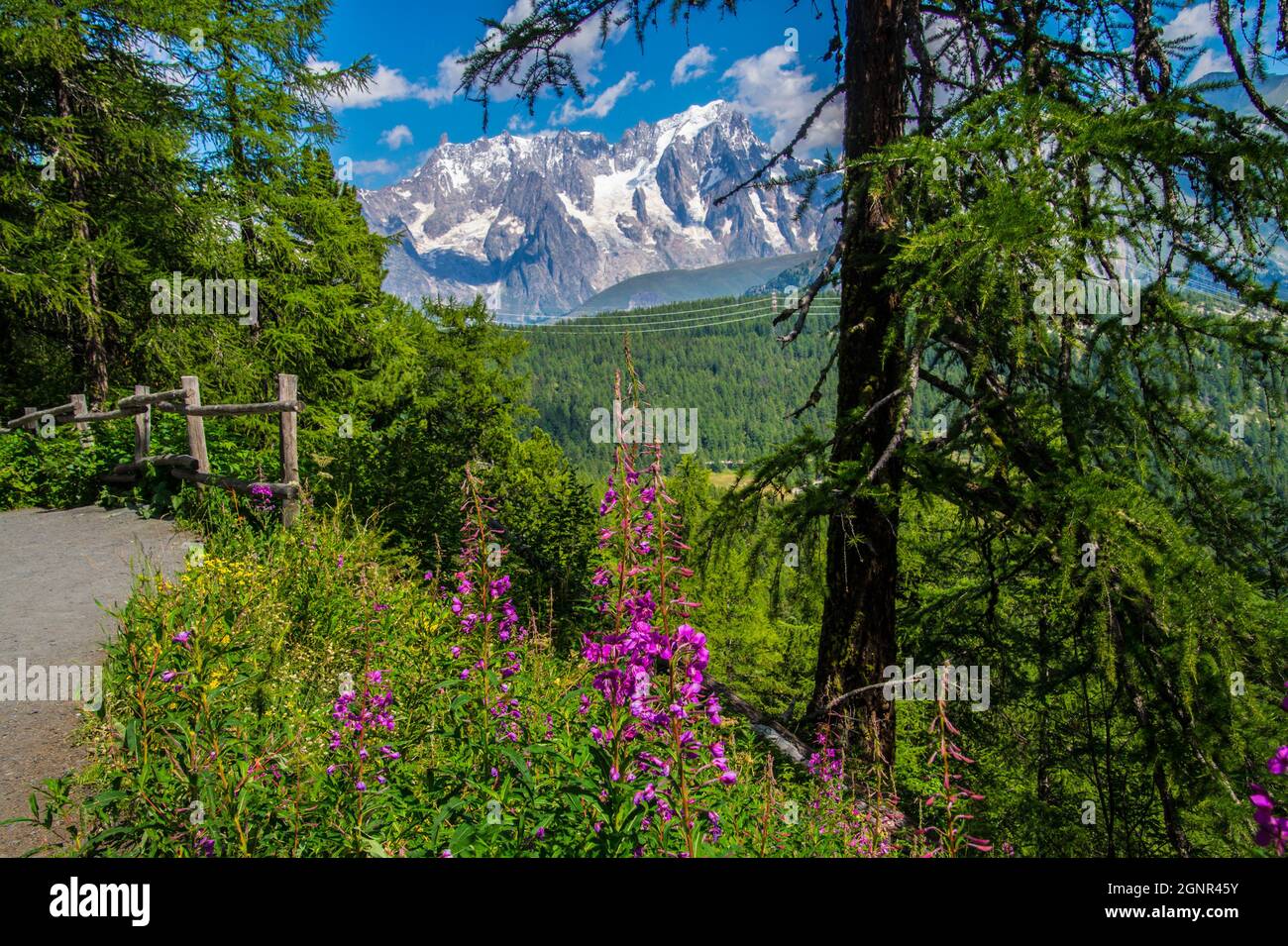 lake of arpy in val aoste in italy Stock Photo - Alamy