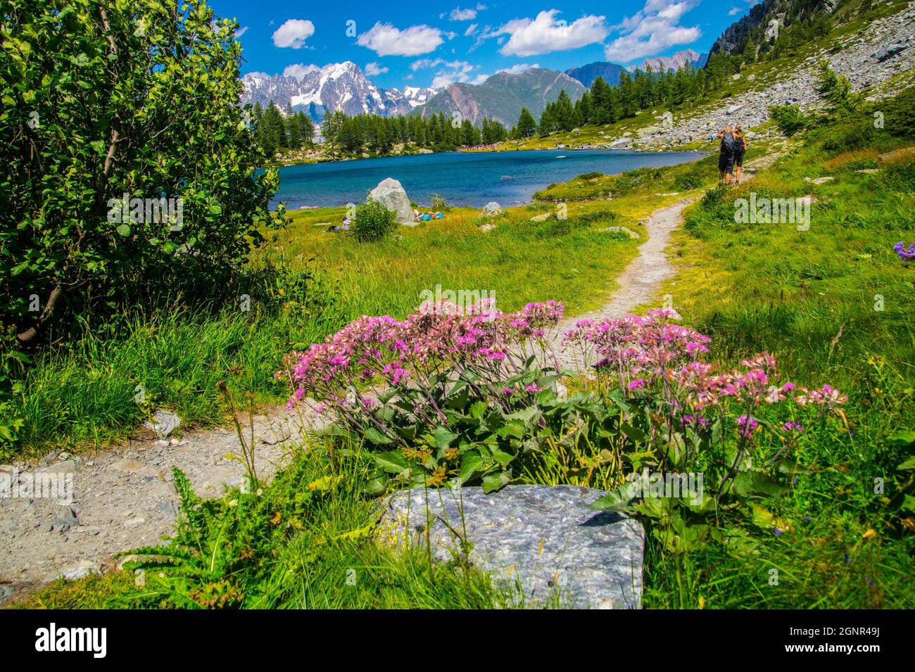 lake of arpy in val aoste in italy Stock Photo - Alamy