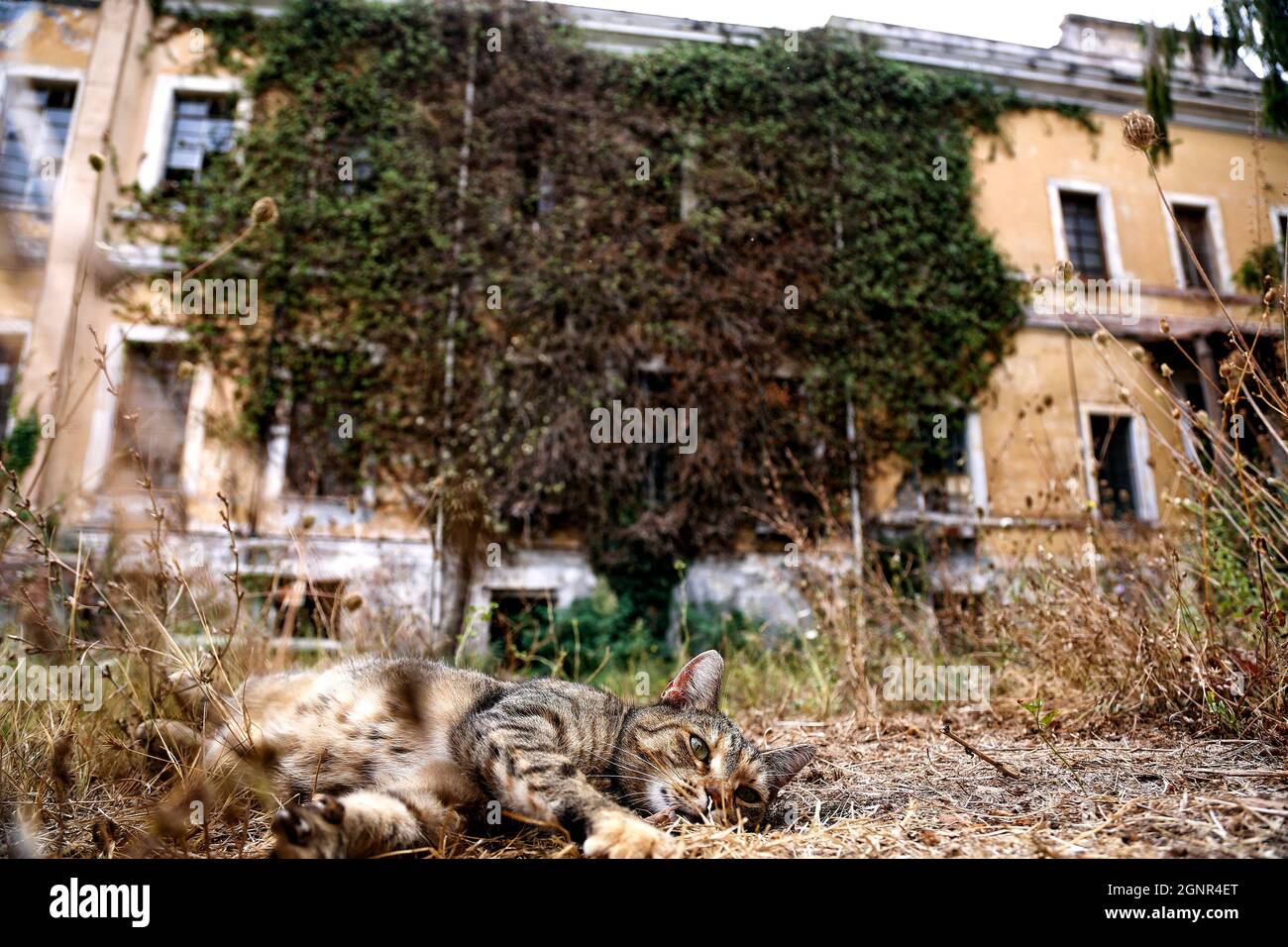 Visit to the former mental hospital of Santa Maria della Pieta'. The ...