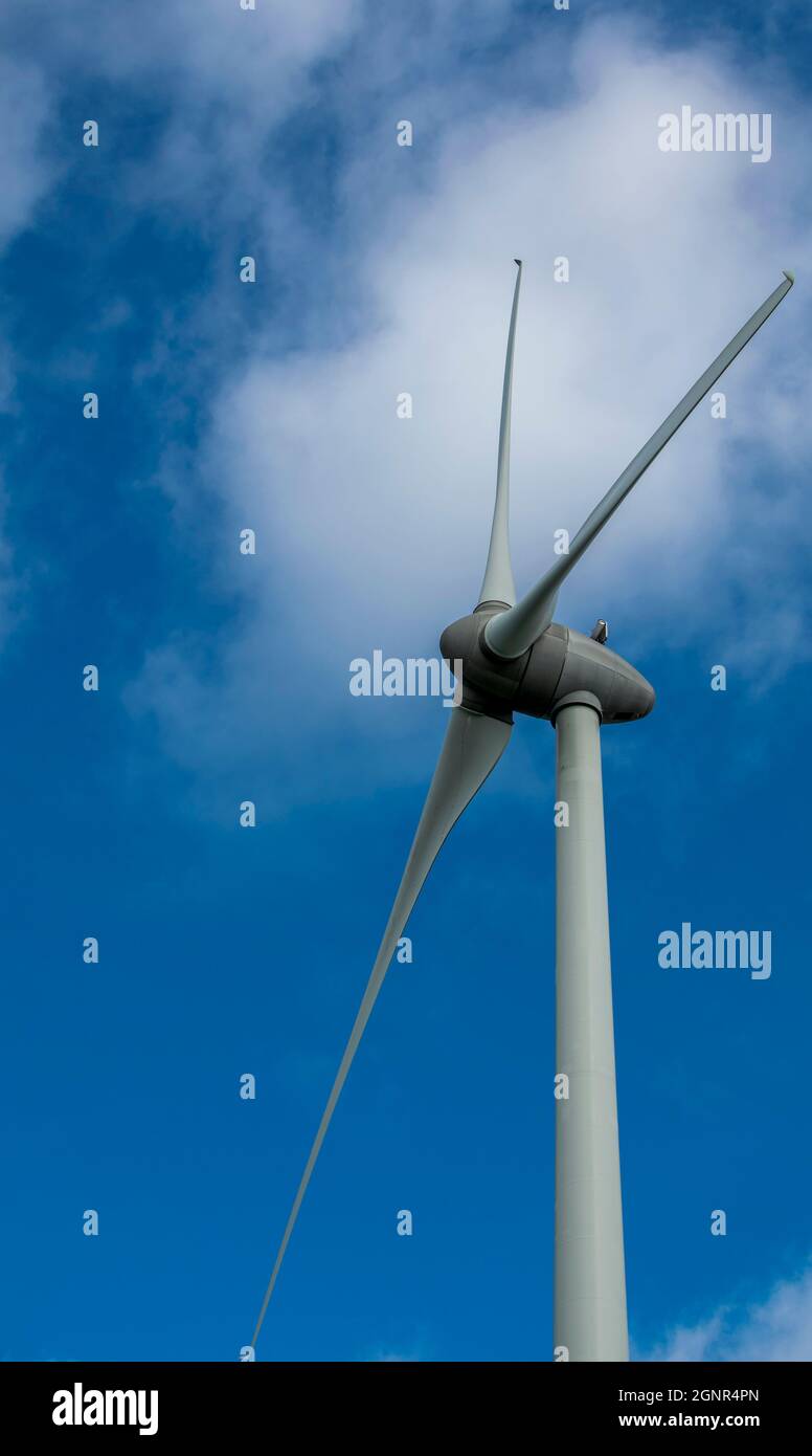 Wind turbine, city of limerick, energy saving, Power supply to the ...