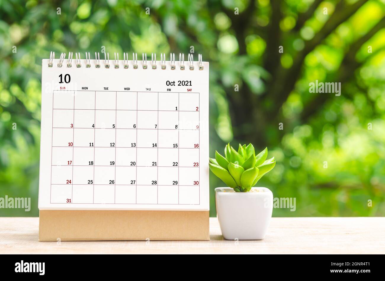 October 2021 Calendar desk for organizer to plan and reminder on wooden ...