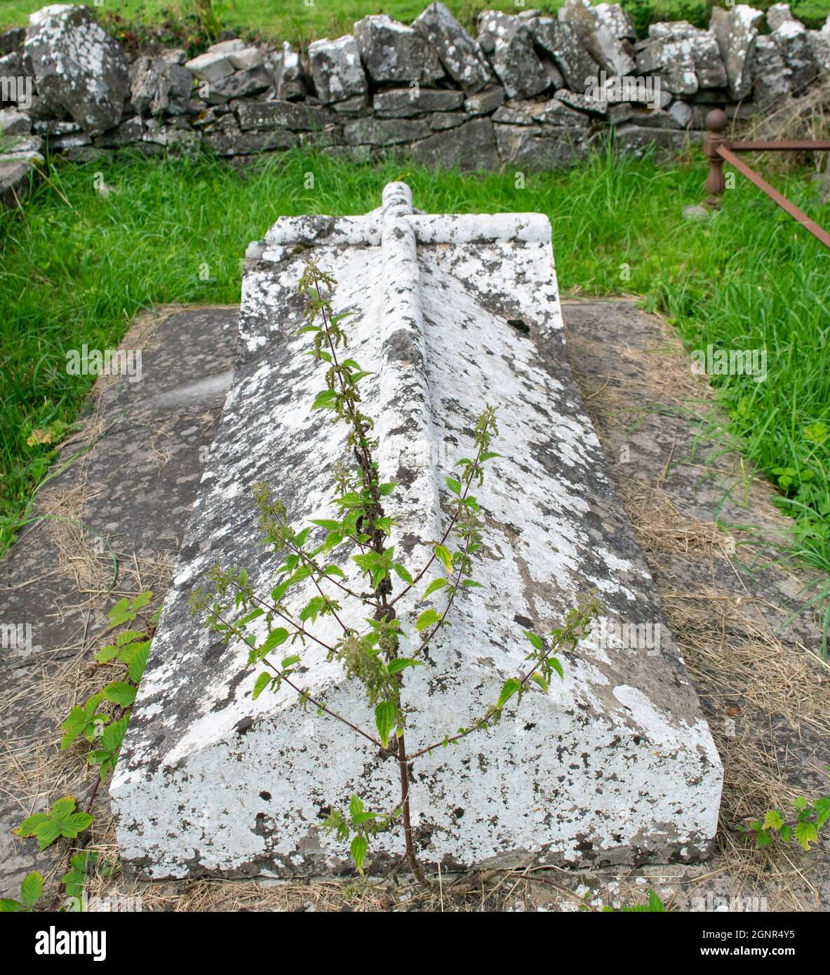 Historical cemetery in Limerick, Ireland, a place of worship of ancient ...
