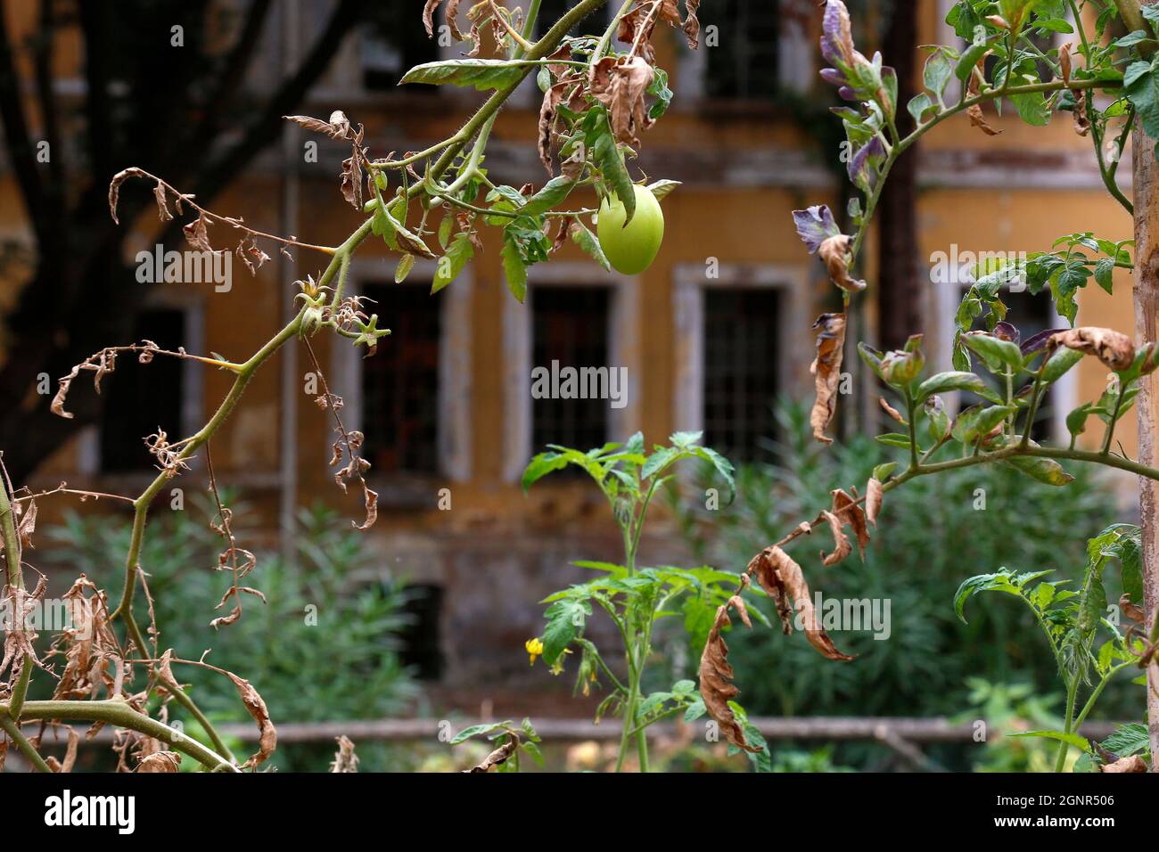 Visit to the former mental hospital of Santa Maria della Pieta'. The ...