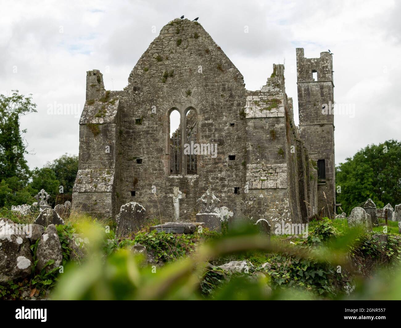 Historical cemetery in Limerick, Ireland, a place of worship of ancient ...