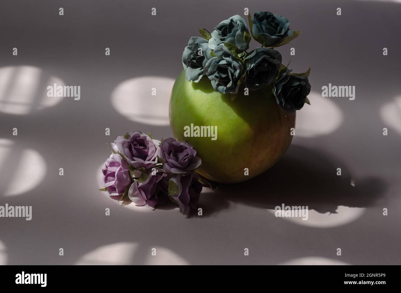 Light and shade composition with Green apple and artificial flow Stock ...