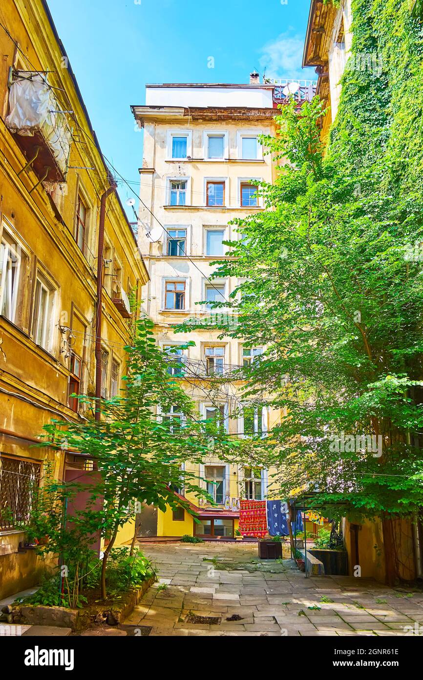 Twisted grapevines hi-res stock photography and images - Alamy