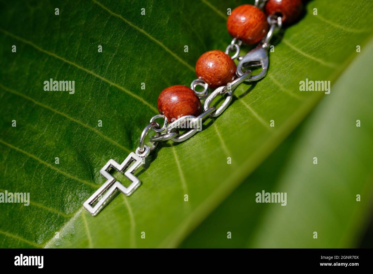 Magnolia cross hi-res stock photography and images - Alamy