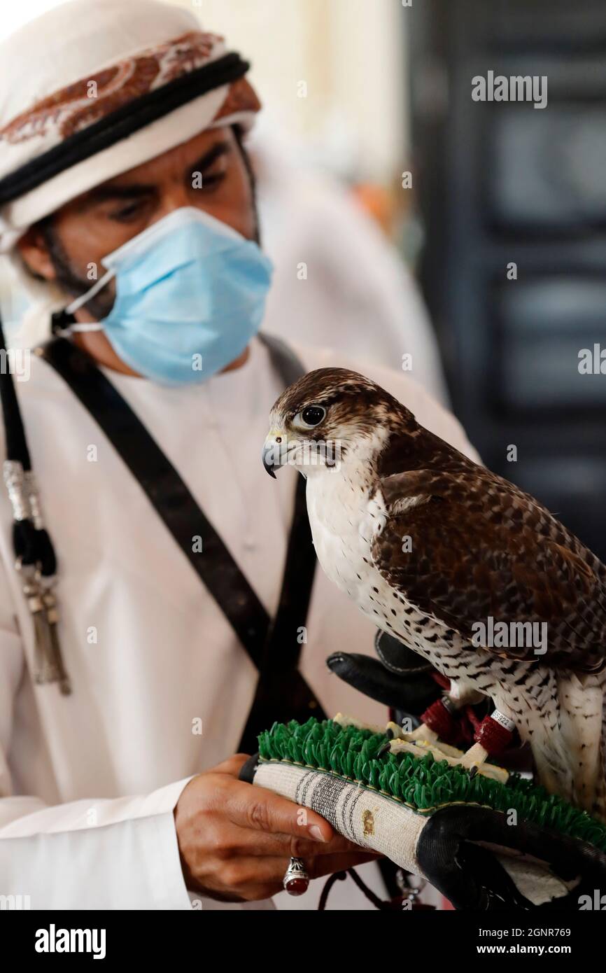 Arab falconer and his hunting falcon. Dubai. United Arab Emirates Stock ...