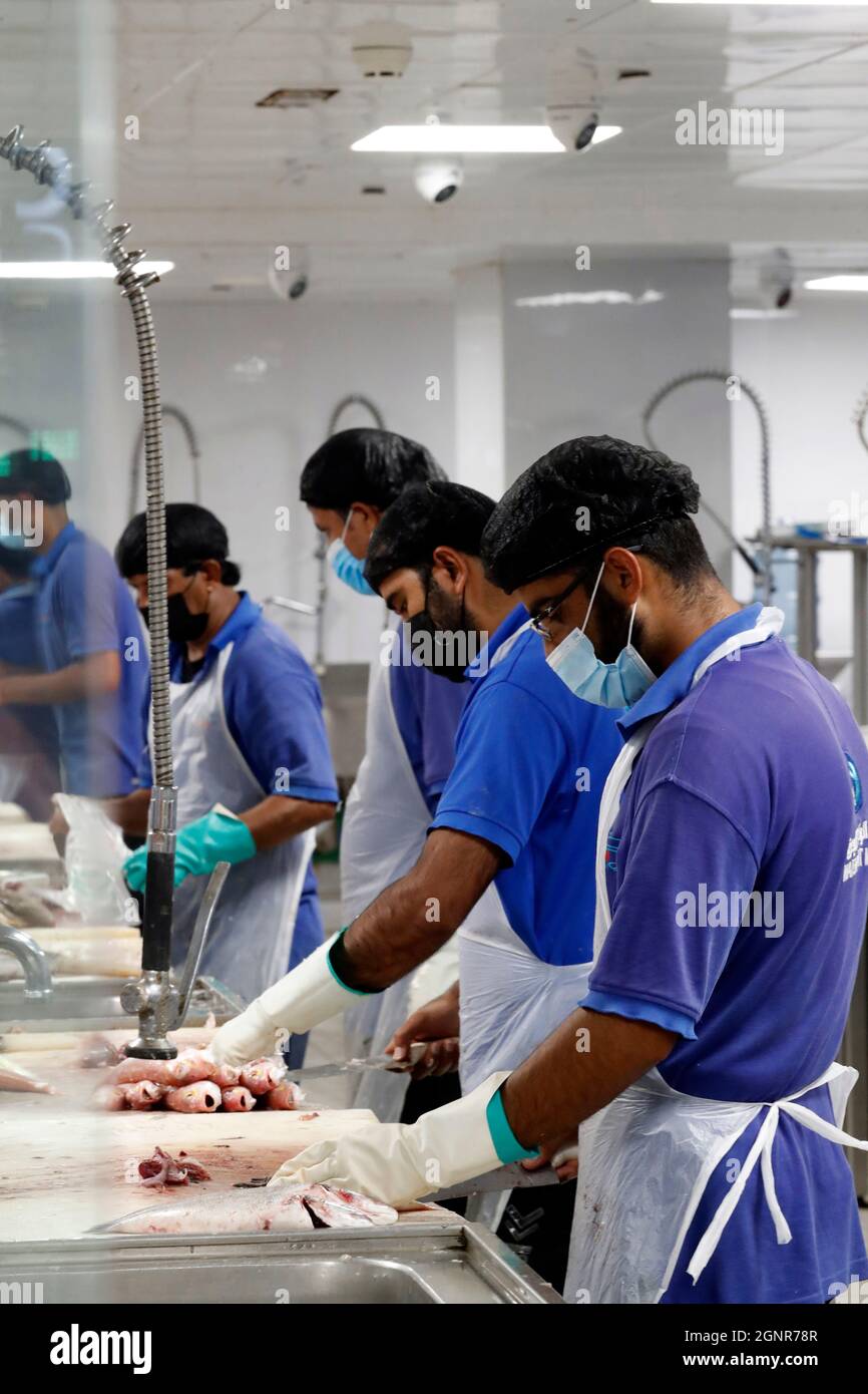 Dubai Fish Market Job Vacancy at Lloyd Sutton blog