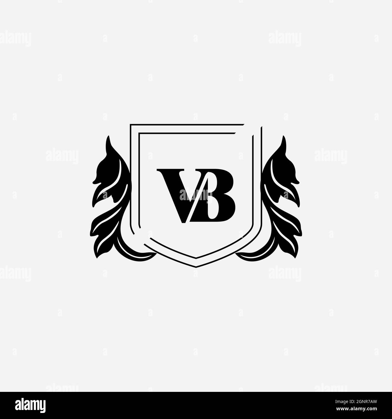 Alphabet Letters Initials Monogram Logo BV, VB, B and V Stock Photo - Alamy