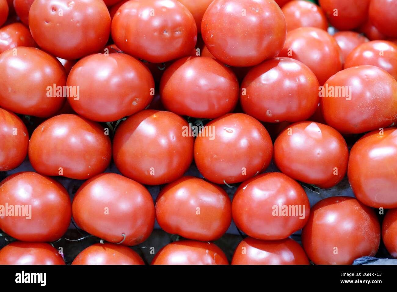 Fresh fruits and Vegetable market. Tomatoes. Dubai. United Arab ...