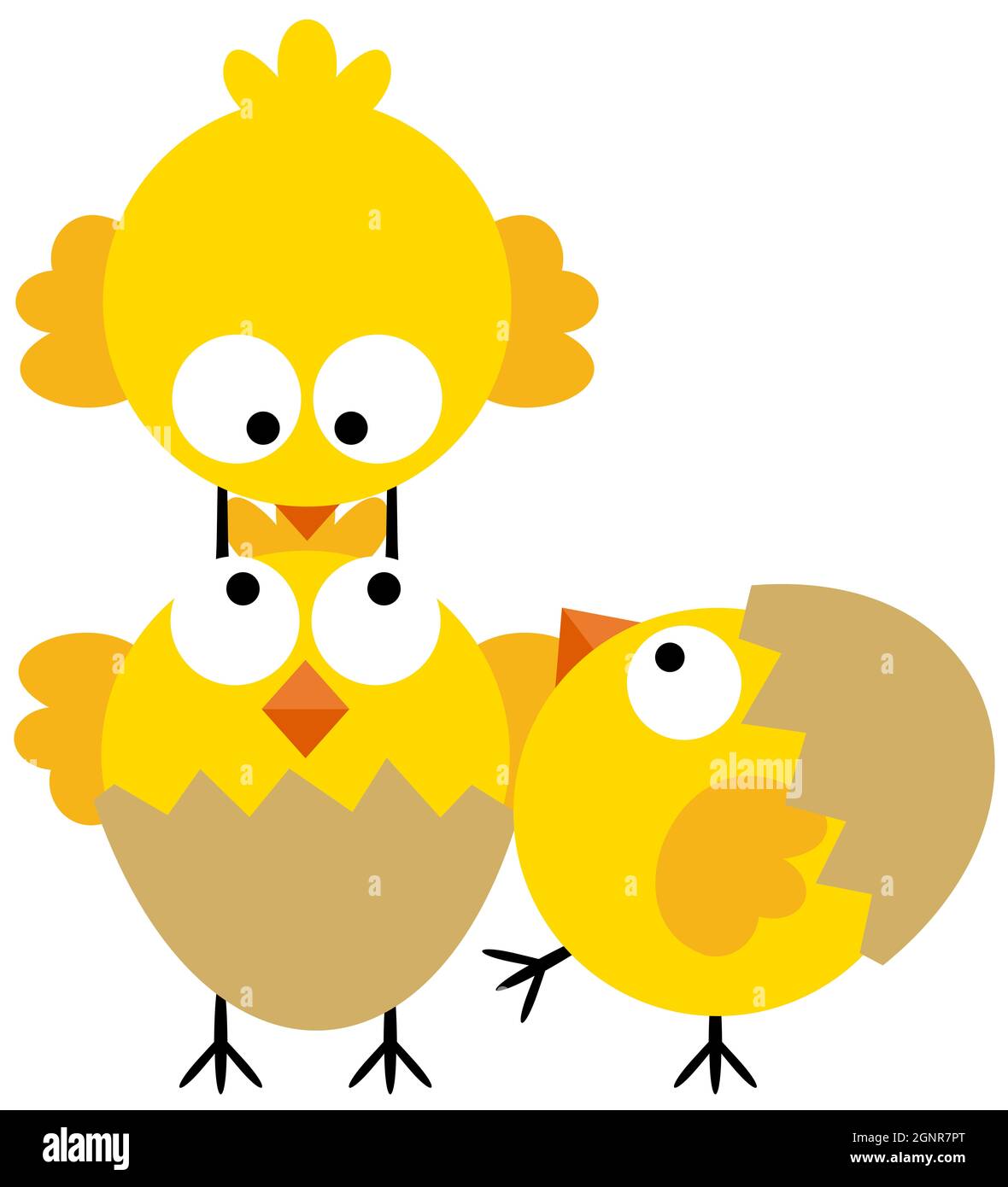 Three little yellow chicks hatching eggs Stock Photo - Alamy