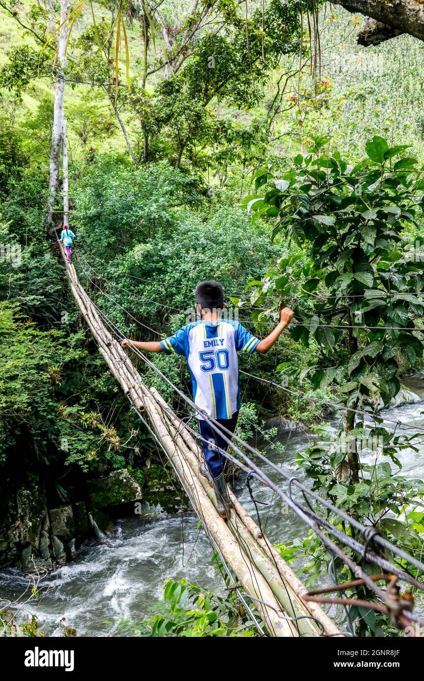 Cocoa planter's son crossing a bridge in Intag valley, Ecuador Stock ...