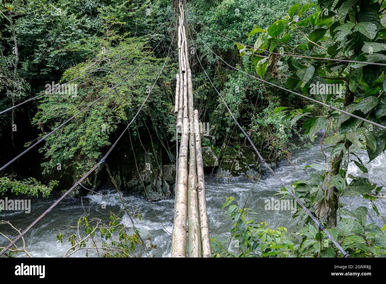 Bridge in Intag valley, Ecuador Stock Photo - Alamy