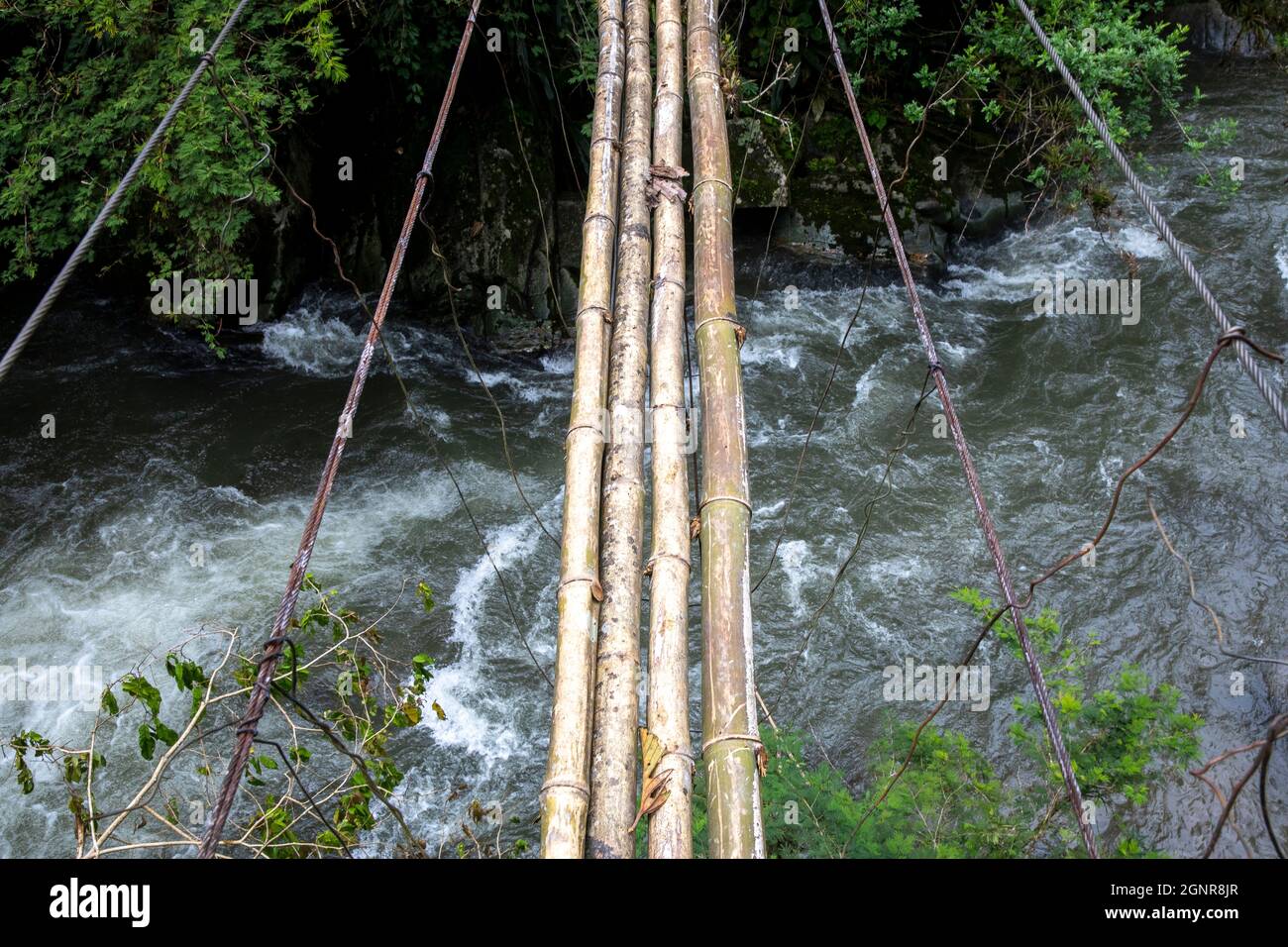 Bridge in Intag valley, Ecuador Stock Photo - Alamy