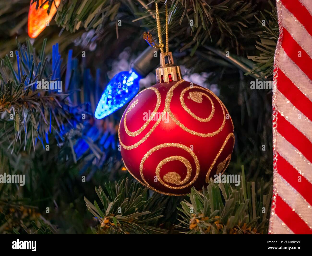 Red bauble with golden ornament on pine tree brench Stock Photo - Alamy