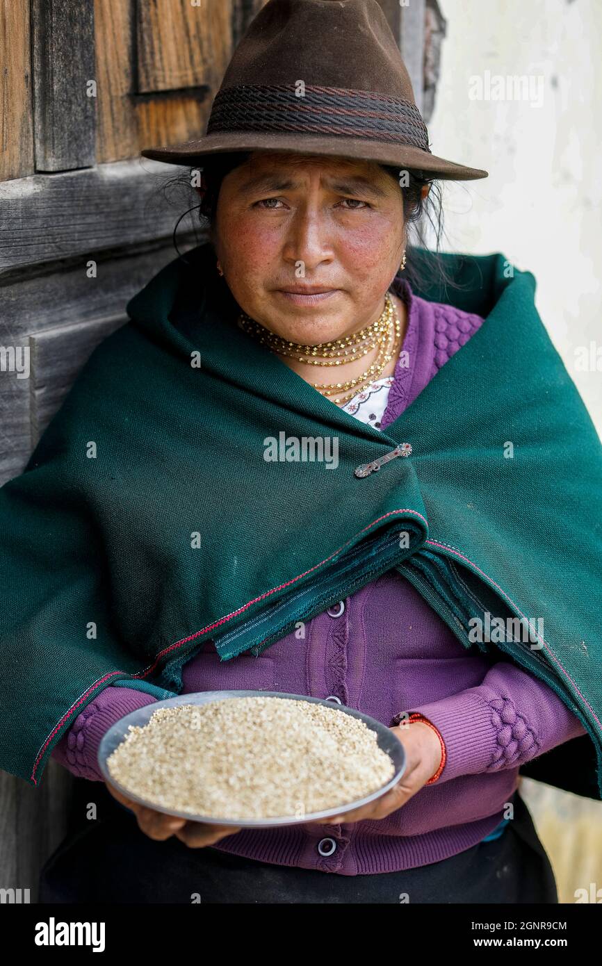Farmer with quinoa in San Martin Bajo, Ecuador Stock Photo - Alamy