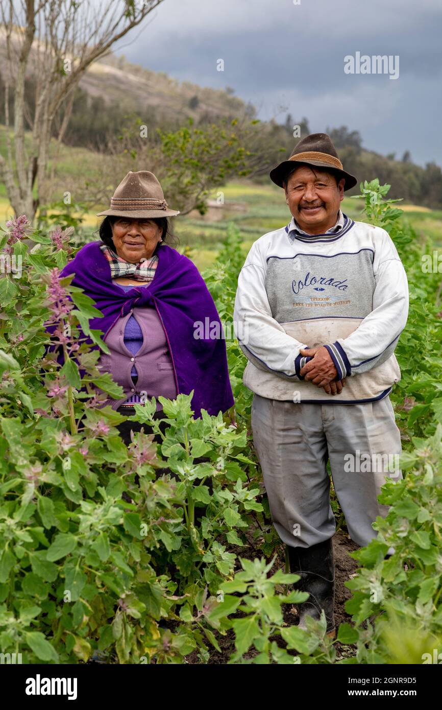 Pardo people hi-res stock photography and images - Alamy