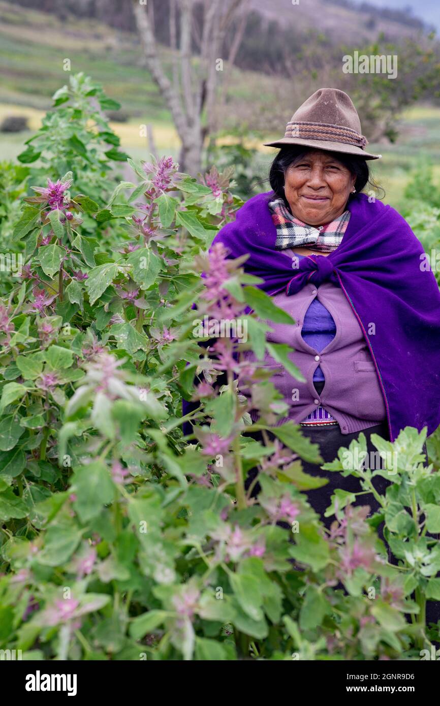 Indigenous farmer hi-res stock photography and images - Alamy