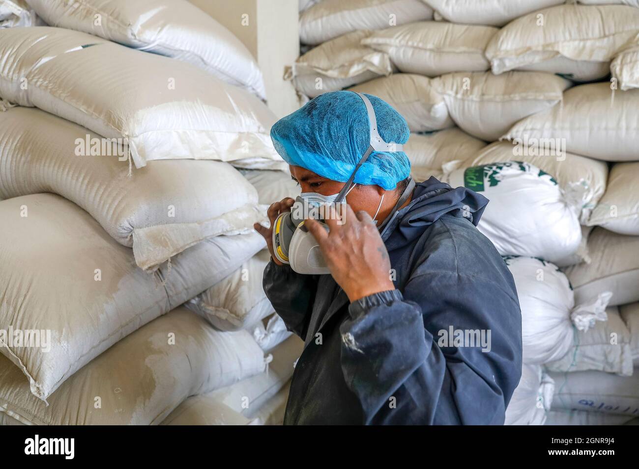 Quinoa farmers' cooperative. Quinoa processing factory. Chimborazo ...