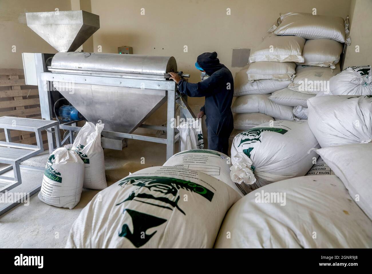Quinoa farmers' cooperative. Quinoa processing factory. Chimborazo ...