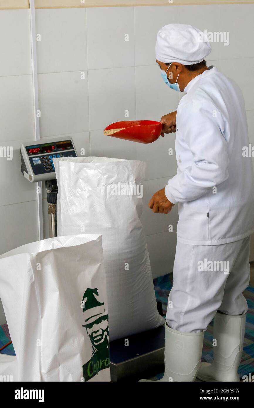 Quinoa farmers' cooperative. Quinoa processing factory. Chimborazo ...