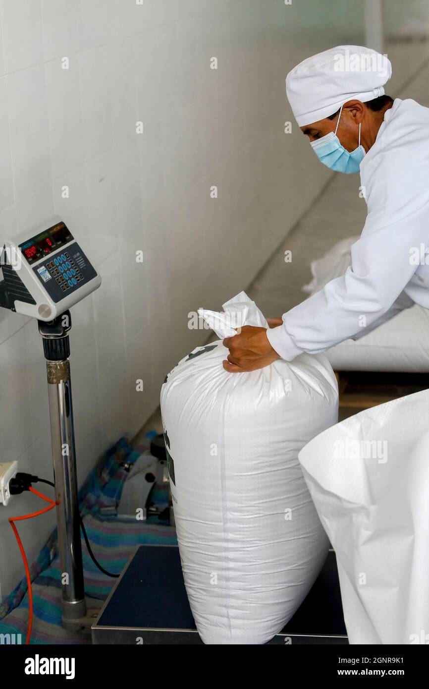 Quinoa farmers' cooperative. Quinoa processing factory. Chimborazo ...