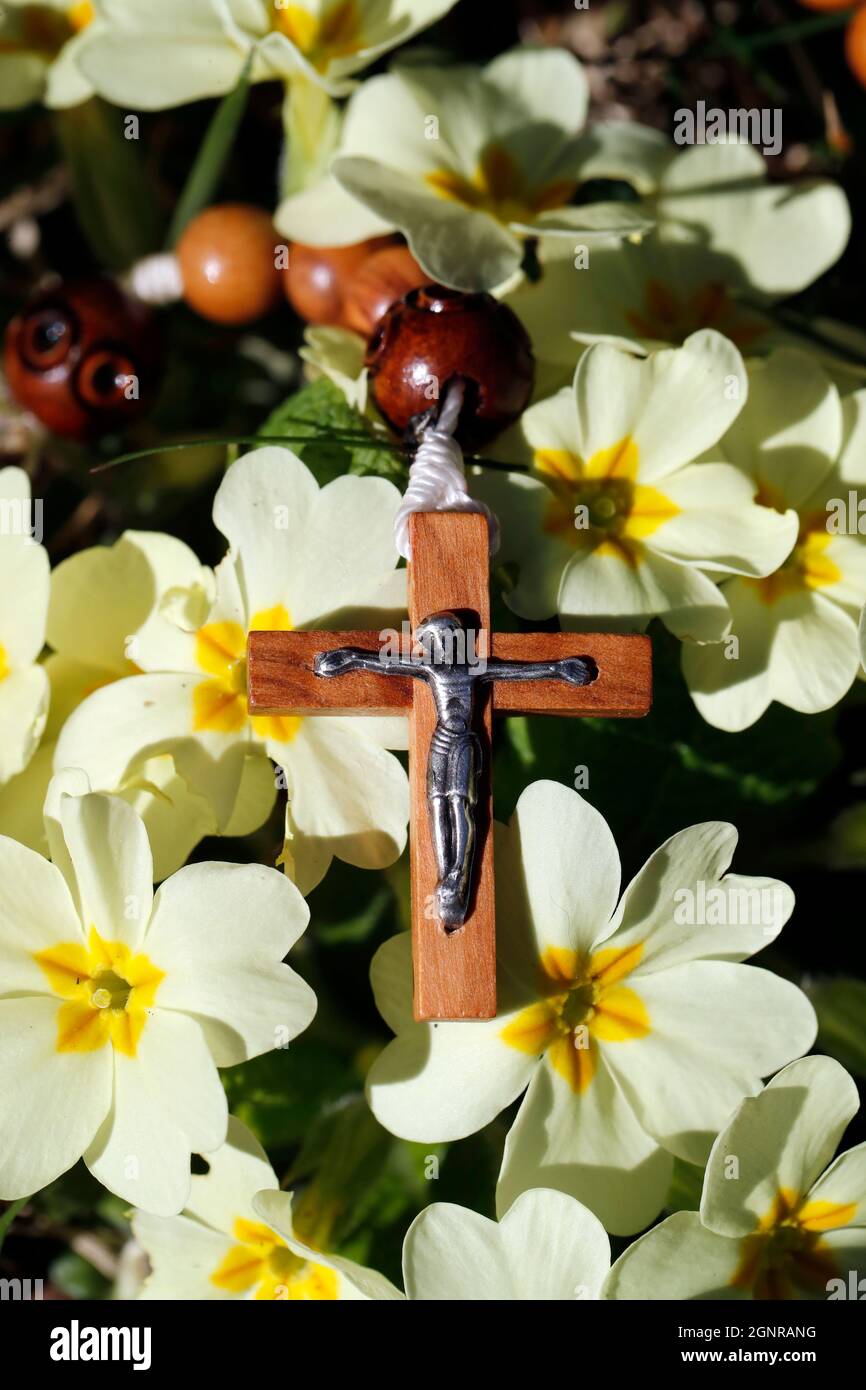 Laudate nature hi-res stock photography and images - Alamy