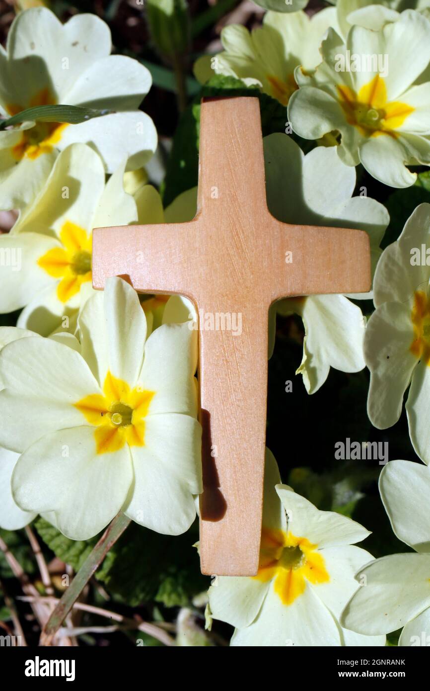 Christian cross with primroses at springtime Stock Photo - Alamy
