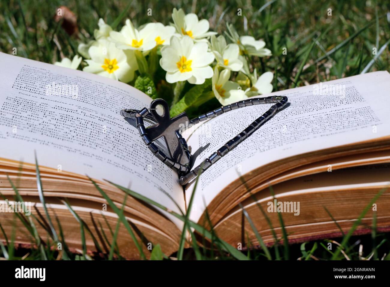 Laudate nature hi-res stock photography and images - Alamy