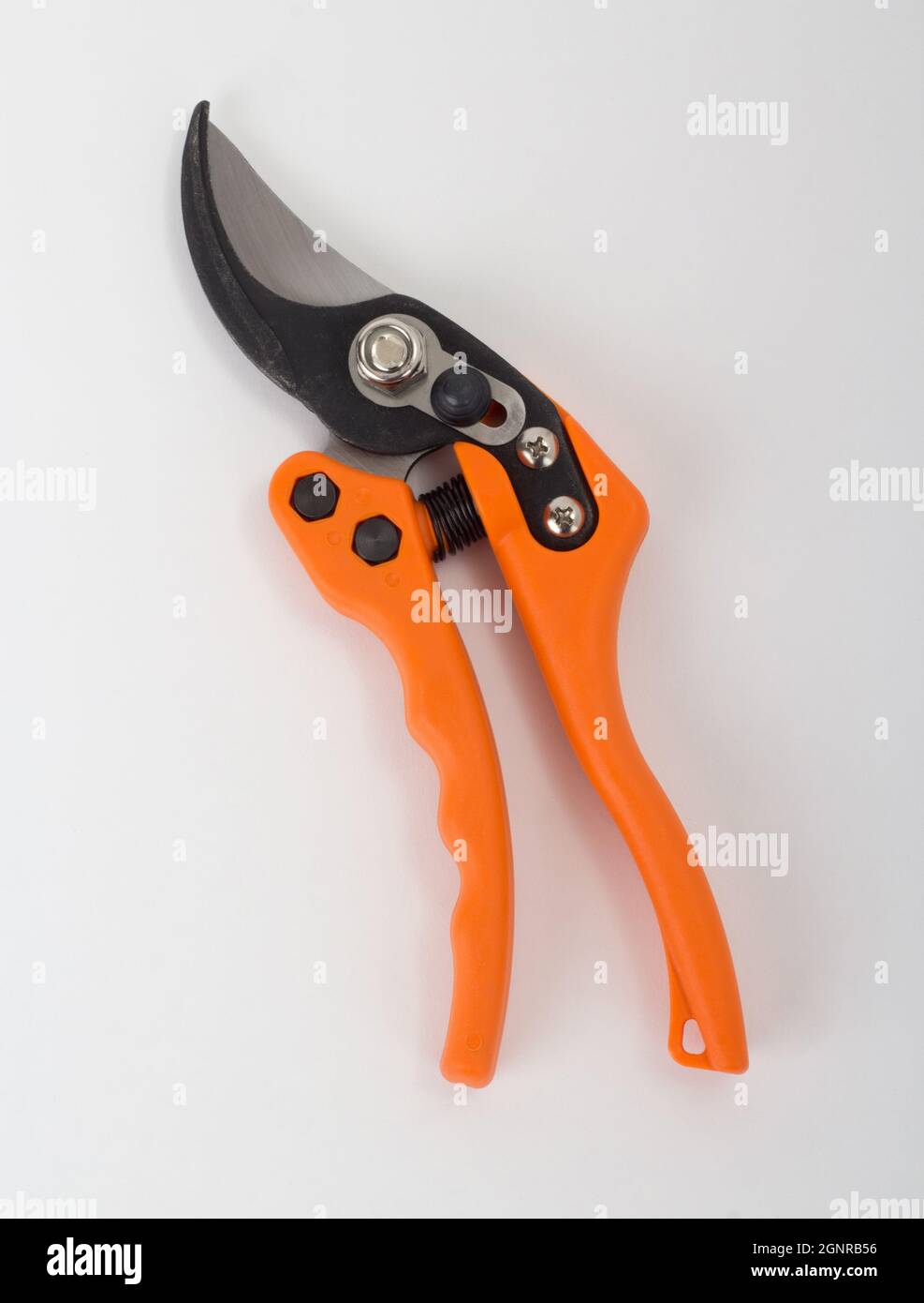 Orange garden secateurs isolated on white background Stock Photo - Alamy