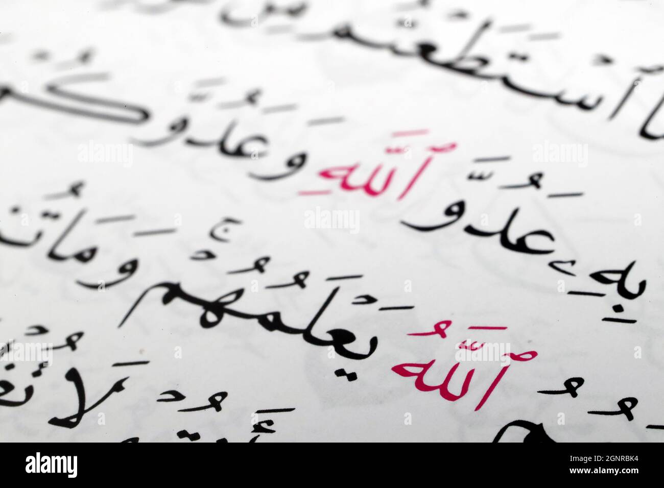 Holy Quran Arabic Text