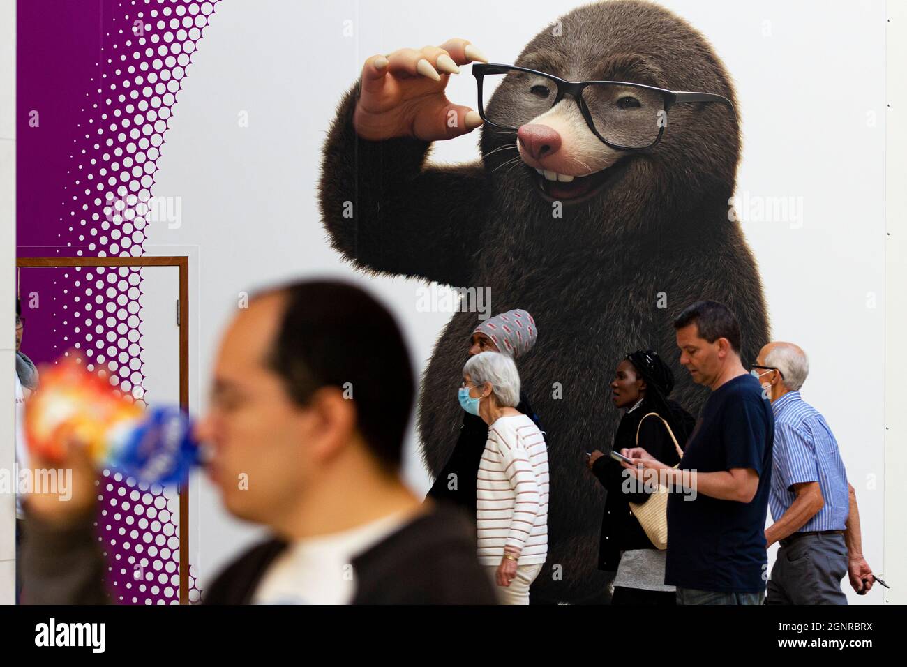 Mole wearing glasses hi-res stock photography and images - Alamy