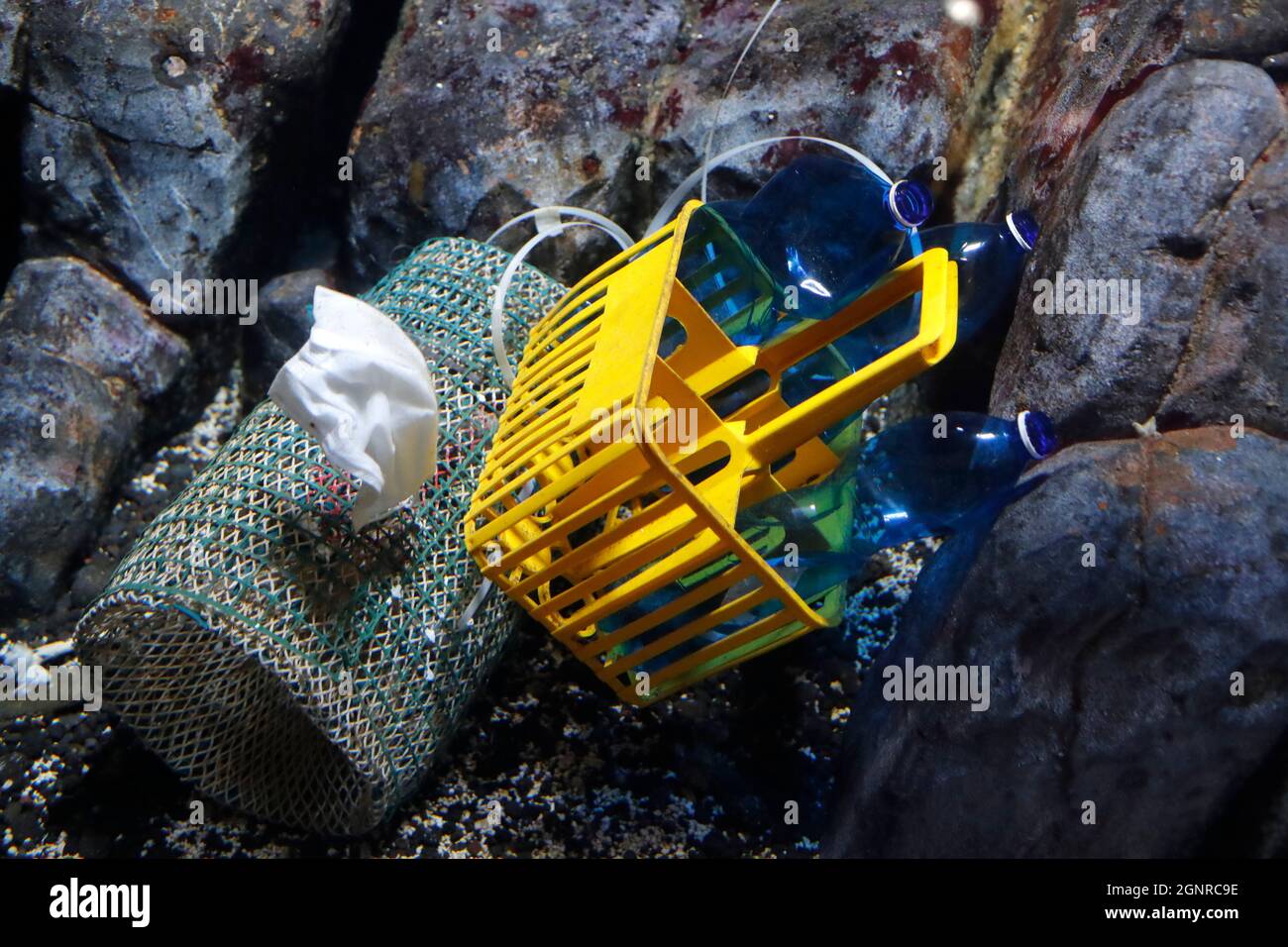Aquarium of Genoa. Plastic pollution water. Italy Stock Photo - Alamy