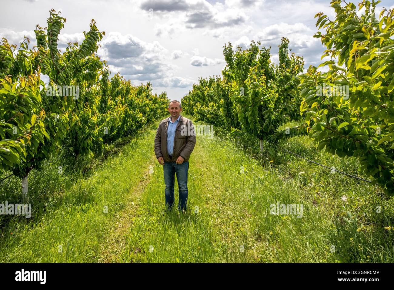 Micro orchard hi-res stock photography and images - Alamy