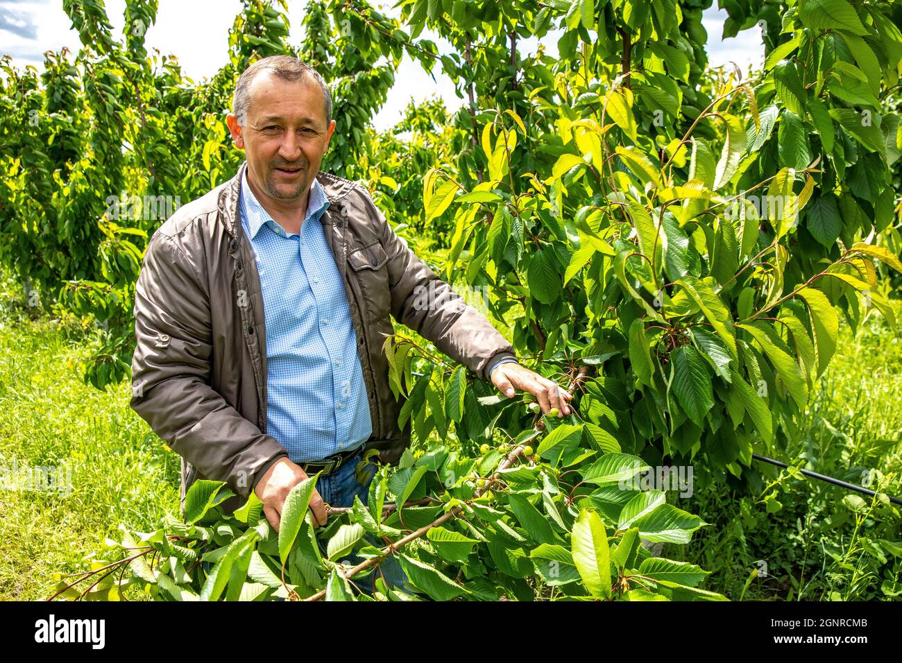 Micro orchard hi-res stock photography and images - Alamy
