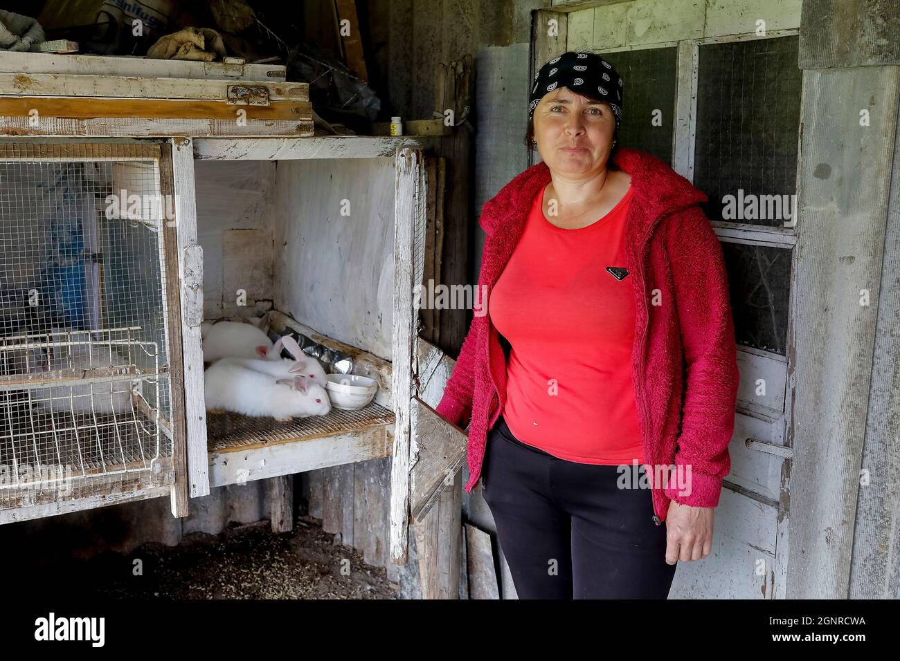 Lapin clapier hi-res stock photography and images - Alamy