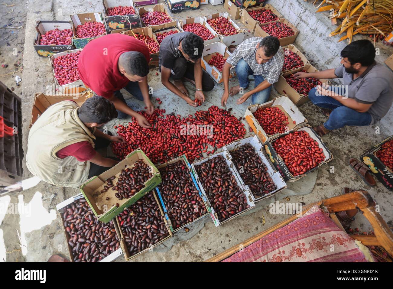 September 26, 2021, The Gaza Strip, The Gaza Strip, Palestine ...