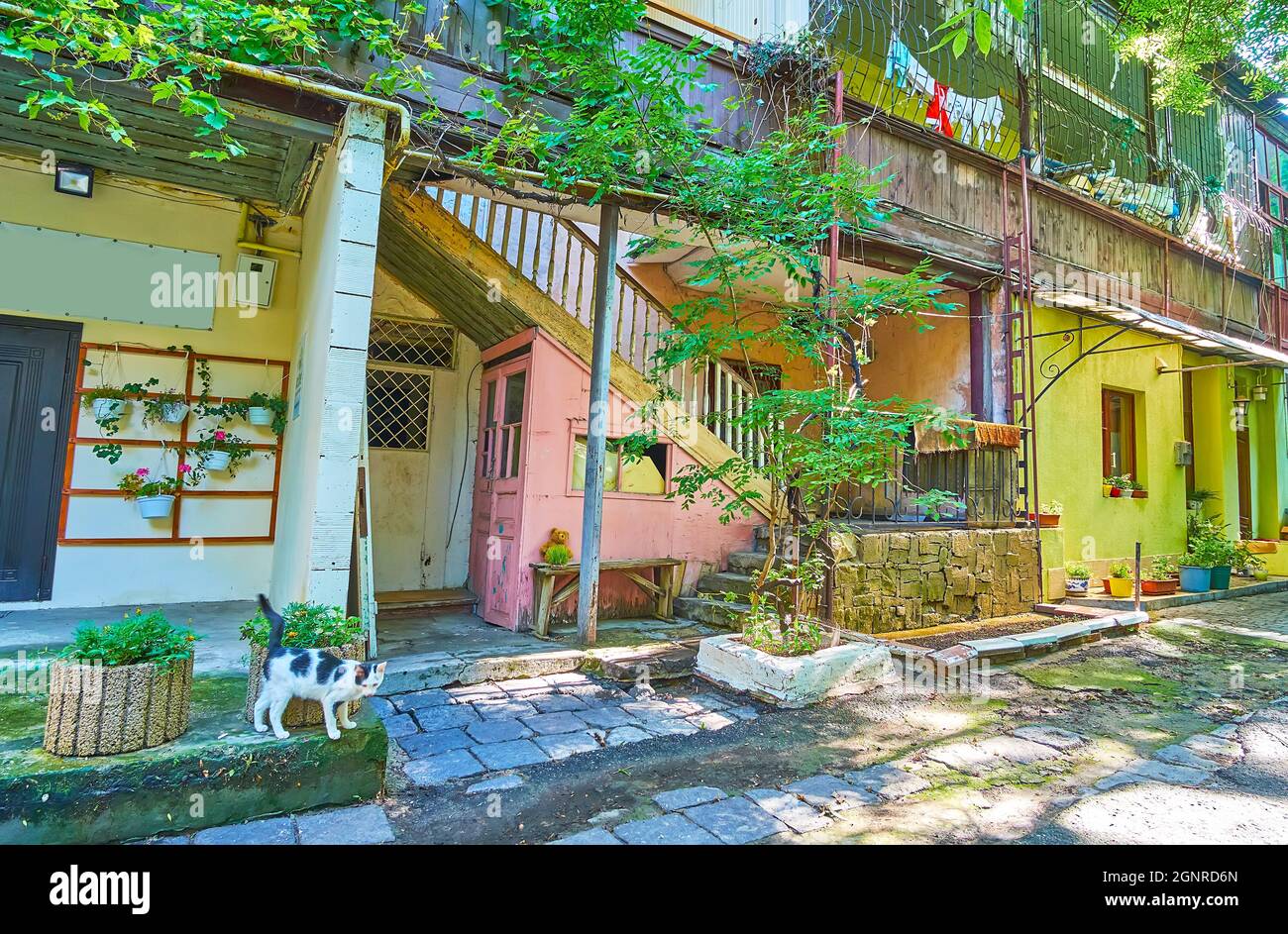 Small courtyard garden pots hi-res stock photography and images - Alamy