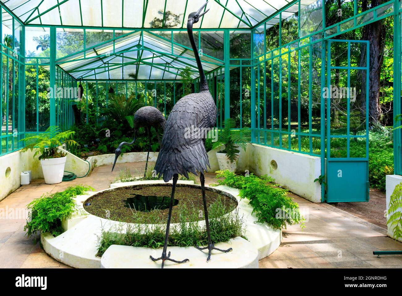 Botanical Garden, Rio de Janeiro, Brazil Stock Photo - Alamy