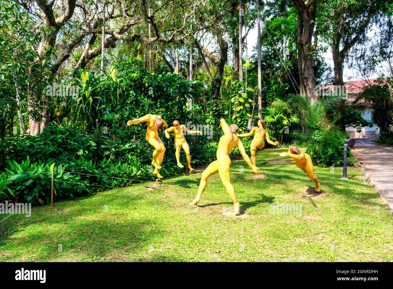Botanical Garden, Rio de Janeiro, Brazil Stock Photo - Alamy