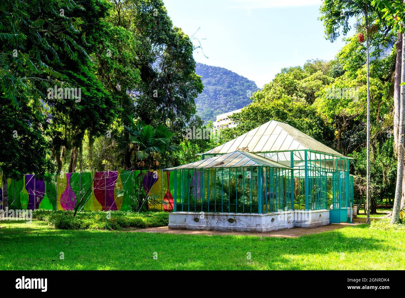 Botanical Garden, Rio de Janeiro, Brazil Stock Photo - Alamy