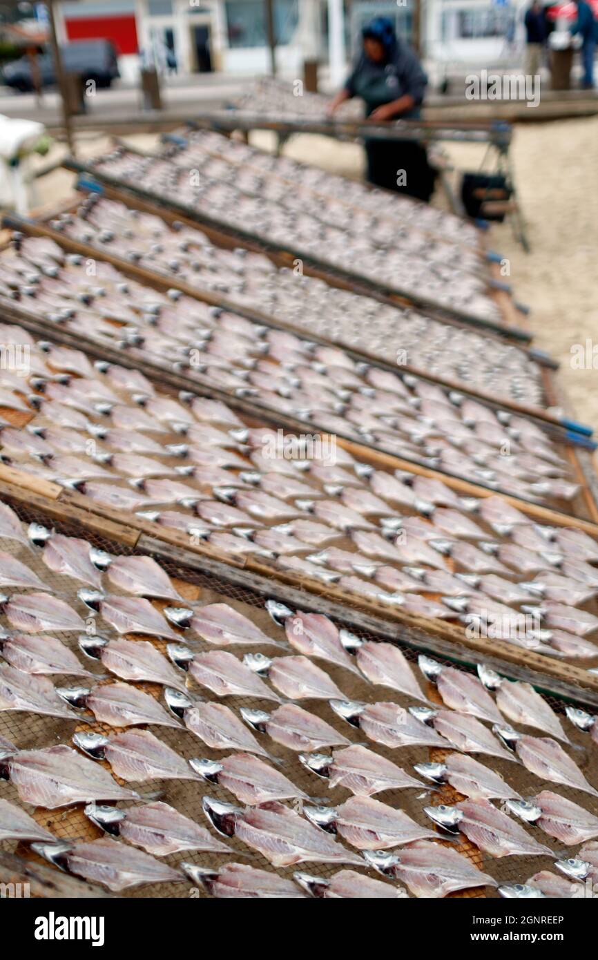 Poisson seche hi-res stock photography and images - Alamy