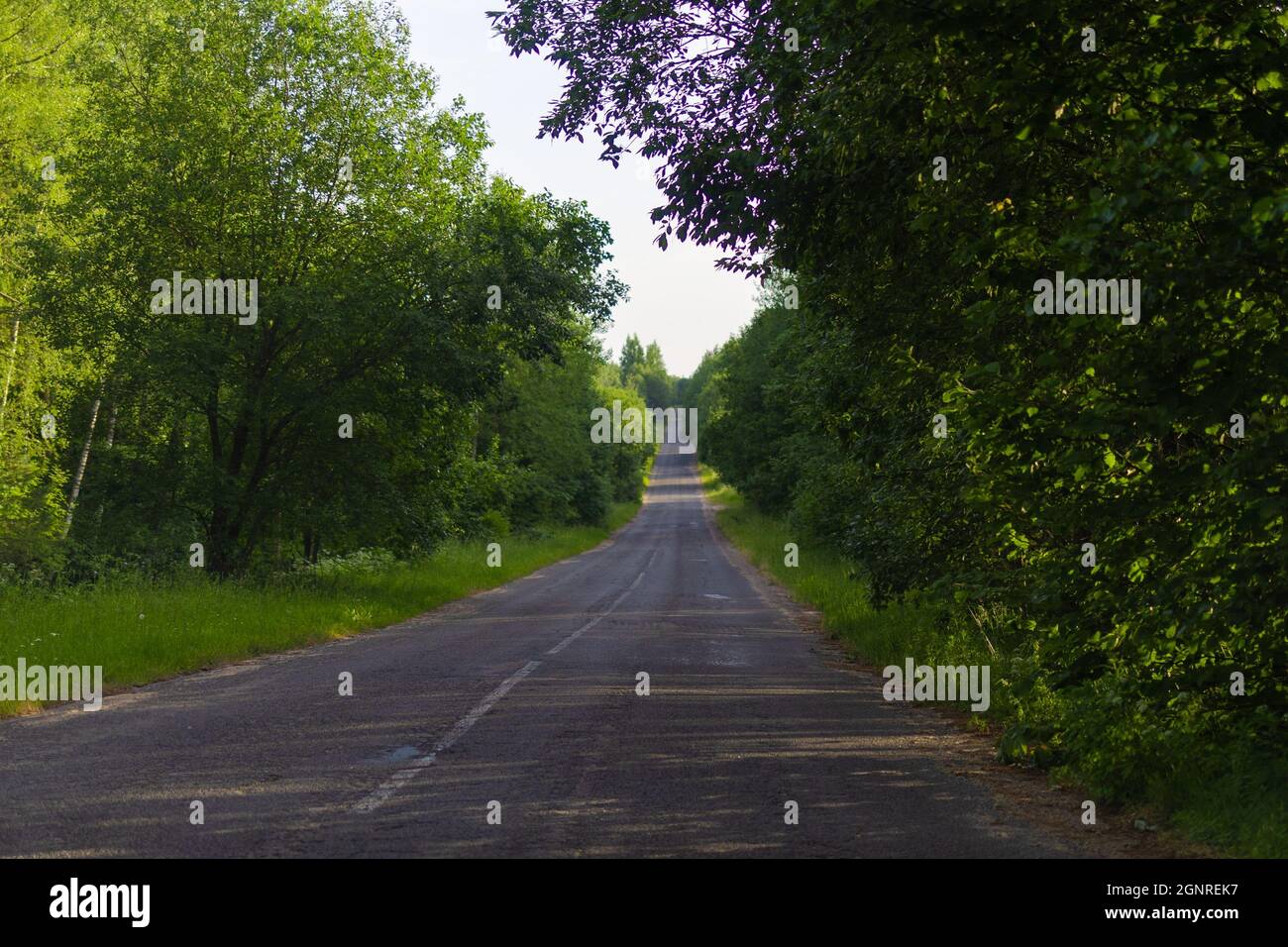 highway road in the countryside, roadside and asphalt, green forest and blue sky on a sunny day ...