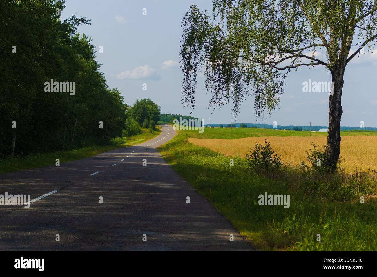 highway road in the countryside, roadside and asphalt, green forest and ...