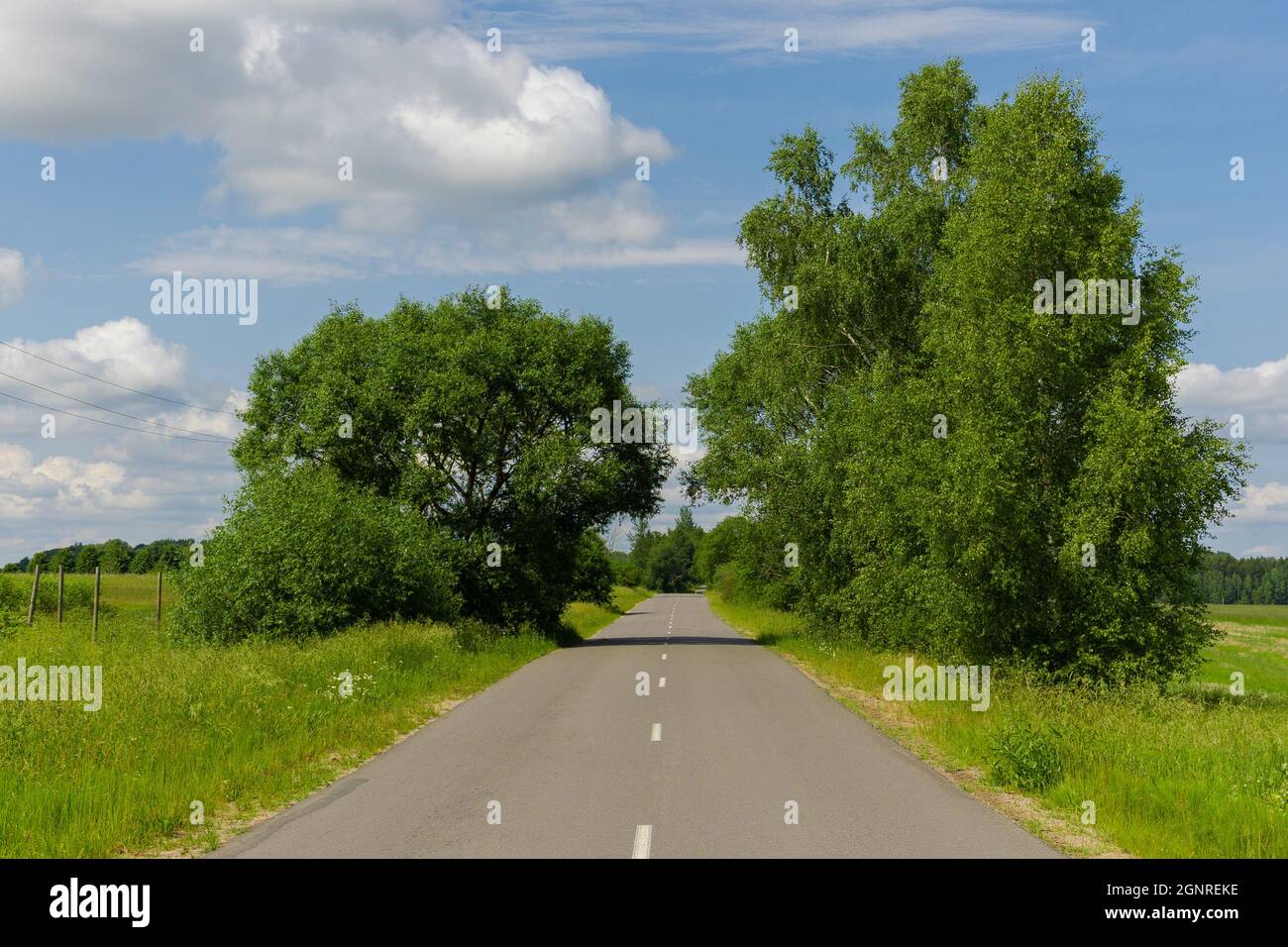 highway road in the countryside, roadside and asphalt, green forest and blue sky on a sunny day ...