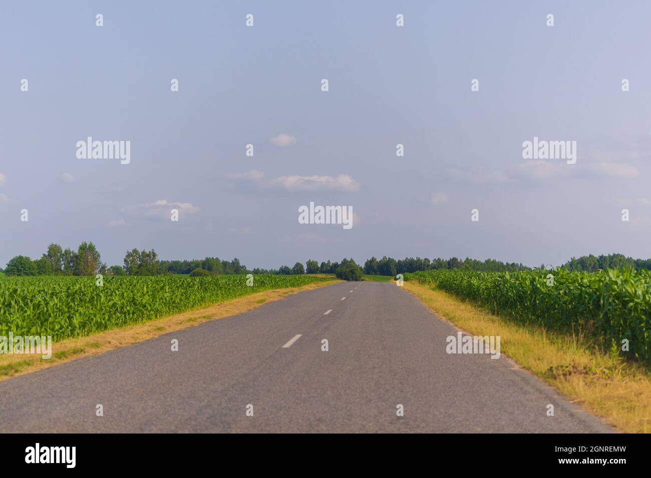 highway road in the countryside, roadside and asphalt, green forest and blue sky on a sunny day ...